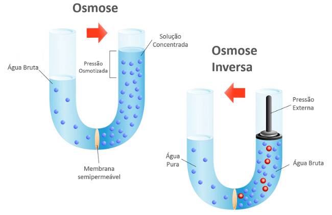 Exemplos De Osmose Na Vida Real